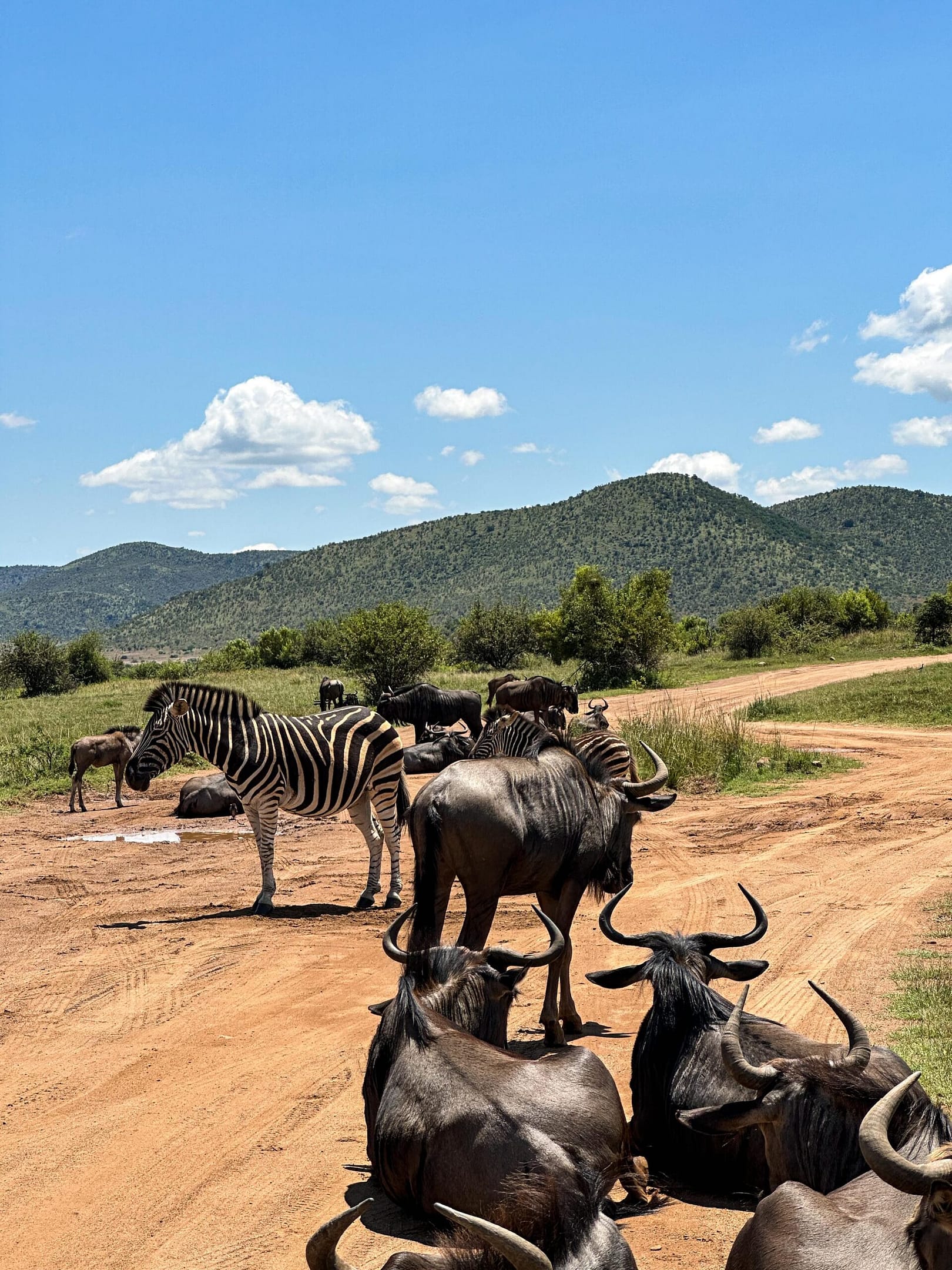 Big 5 Game Reserves by Province in South Africa
